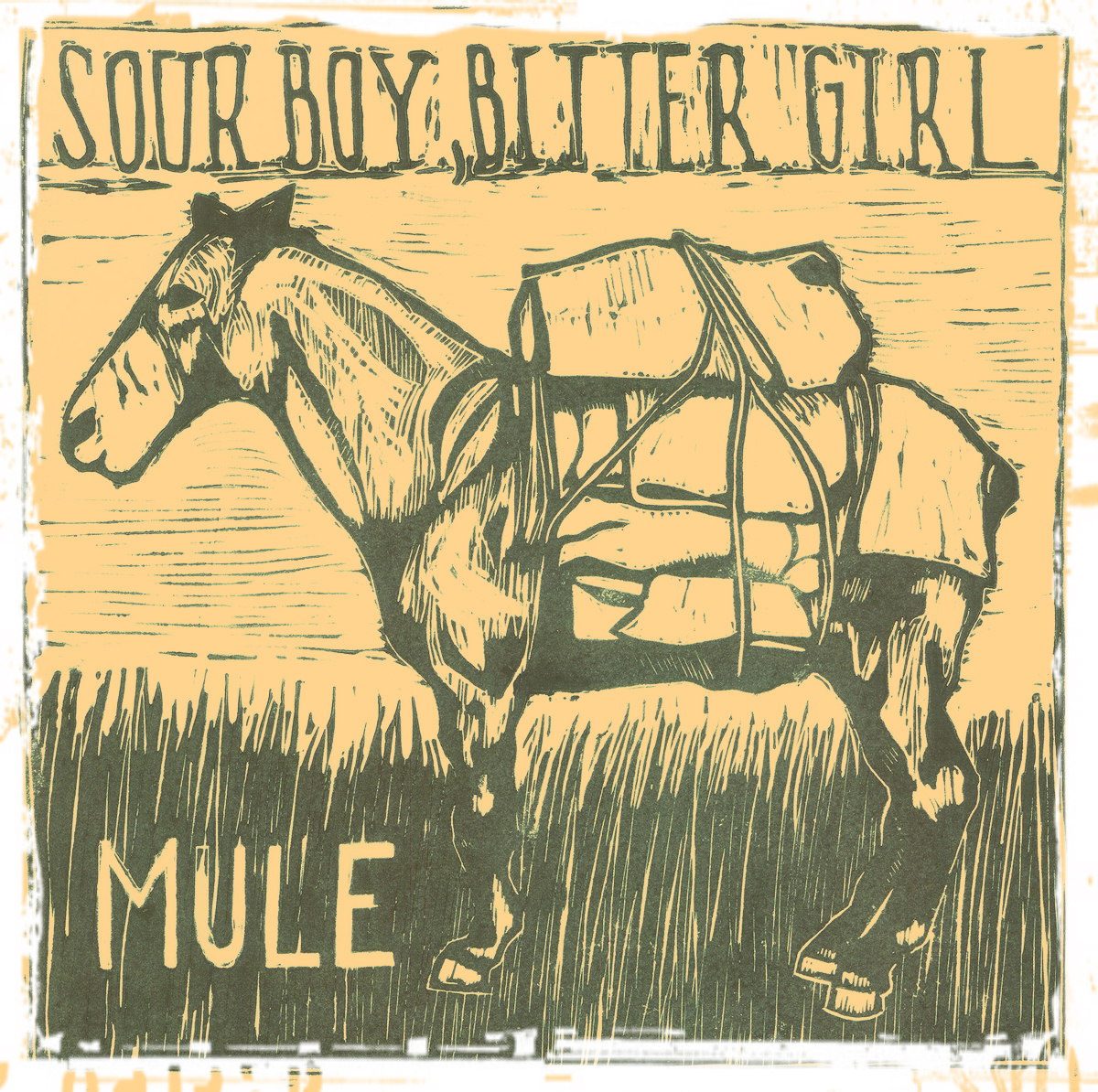 How to Politely Use - not Abuse - your Vacation Mules | Women Who Live ...