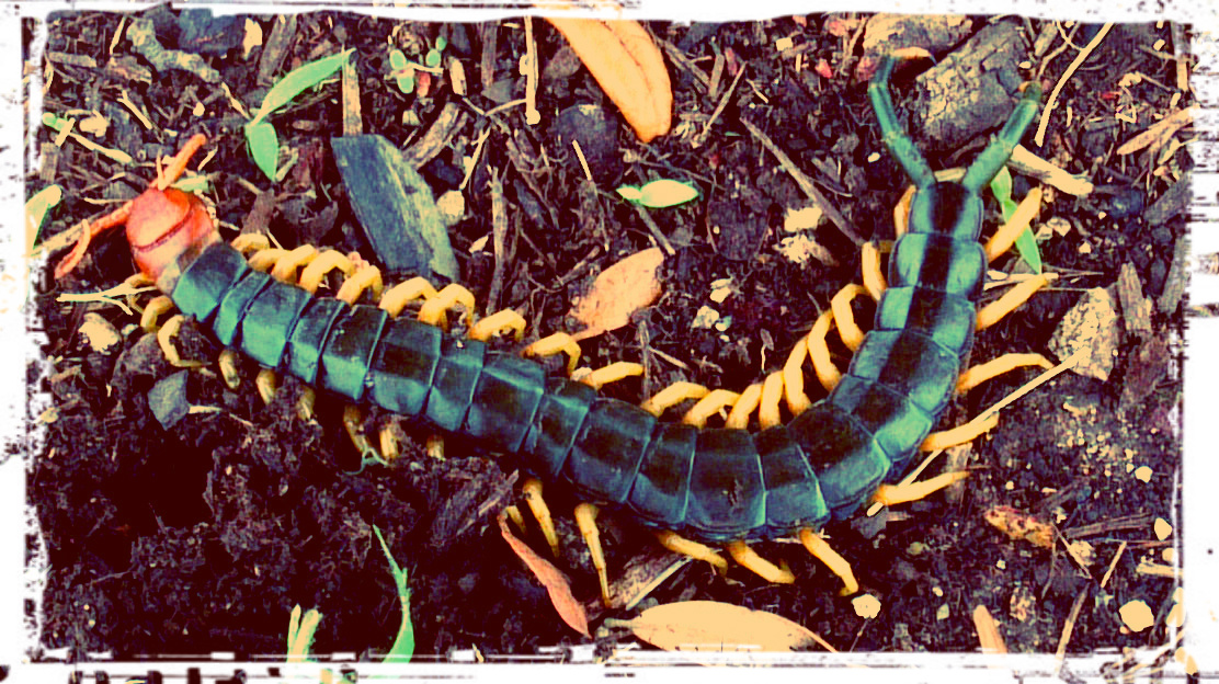 *click for image credit | Women Who Live On Rocks