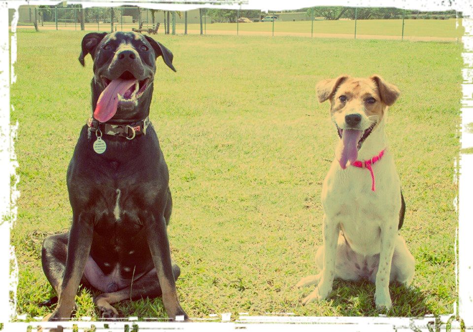 Boonie IS a Breed | Women Who Live On Rocks