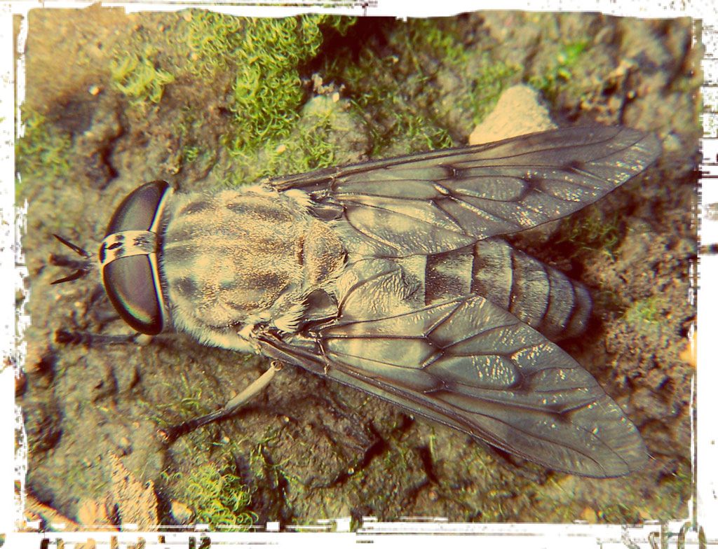 *click for image credit | Women Who Live On Rocks