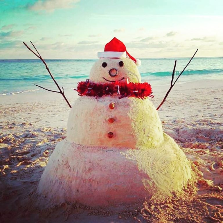 Creating New Island-style Traditions for the Holidays | Women Who Live ...